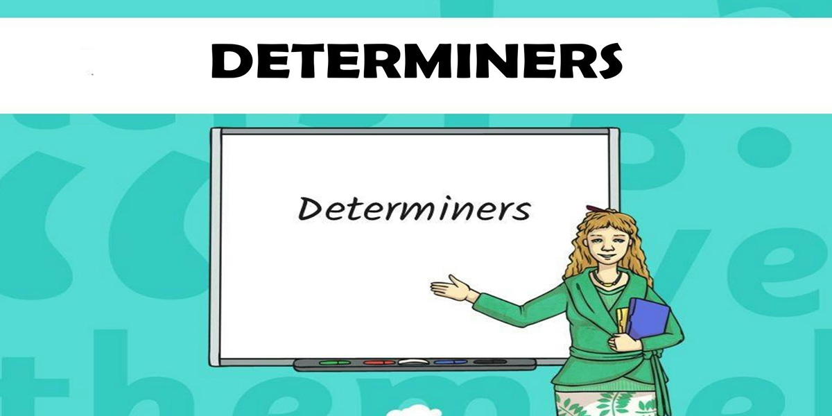 آموزش کامل گرامر Determiners به همراه مثال